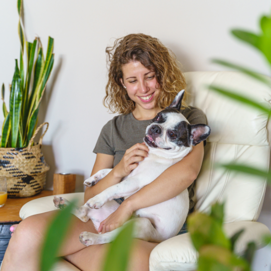 6 Must-Have French Bulldog Gifts: Unleash Your Frenchie Obsession ...