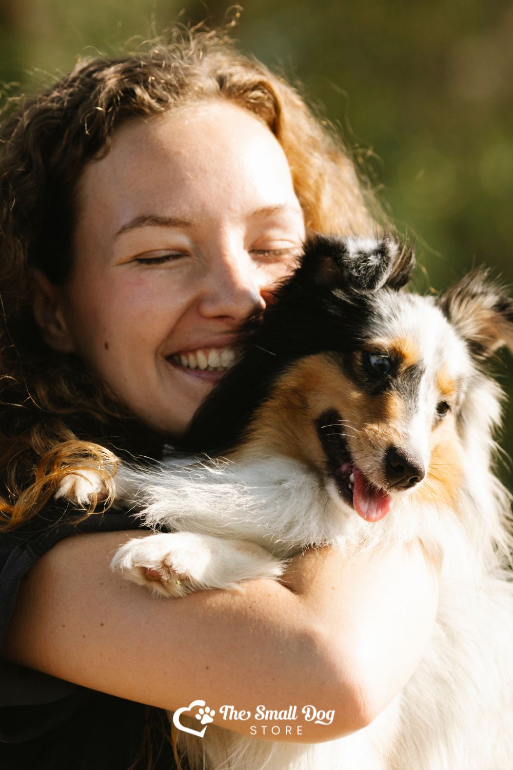 Do Dogs Love Their Owners? Exploring the Science of Dogs and Love – The ...