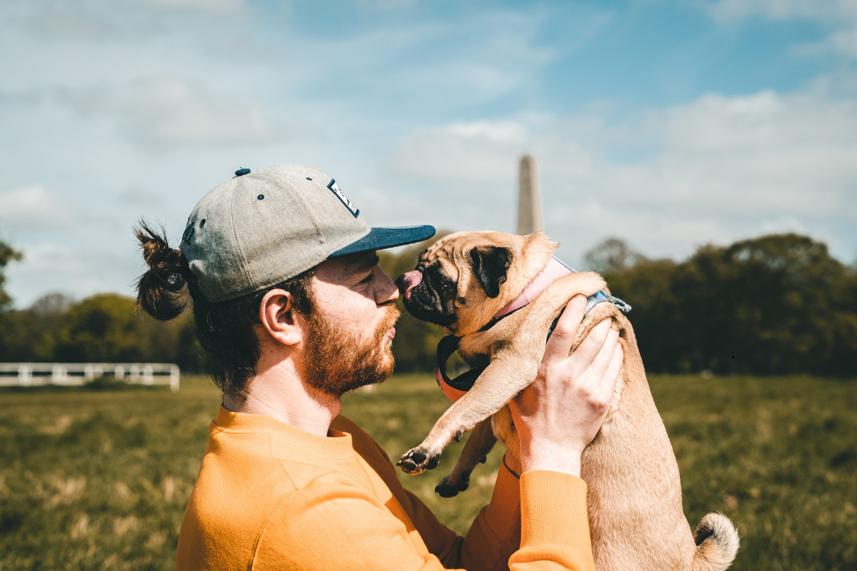 Top 4 Must-Have Shirts for Every Proud Pug Dad – The Small Dog Store
