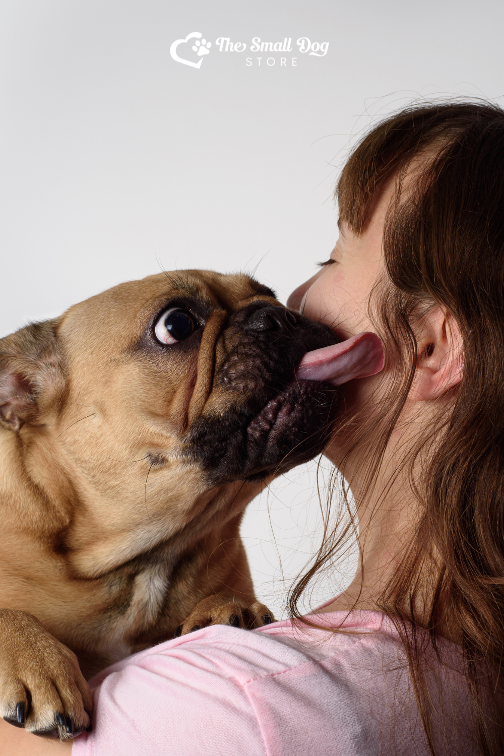 French Bulldog Merchandise: Unique Frenchie Merch & Apparel – The Small ...