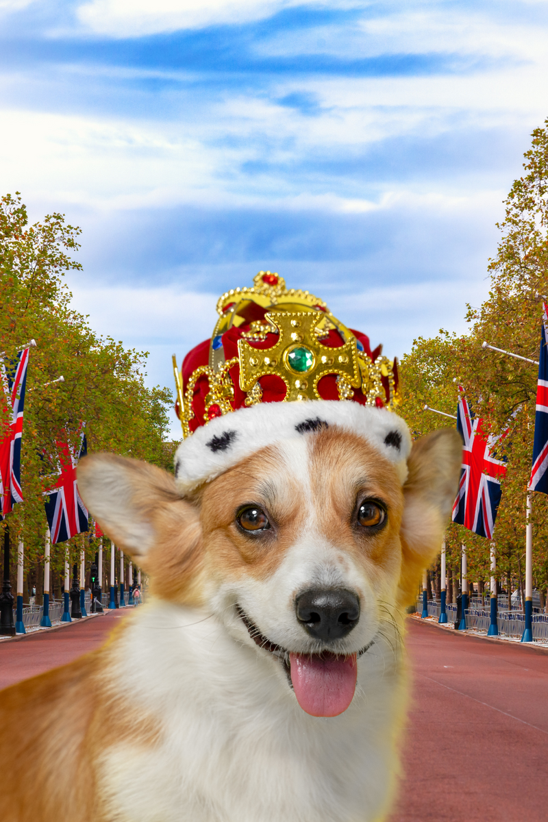 A Royal Affair: Queen Elizabeth II and Her Beloved Corgis – The Small ...